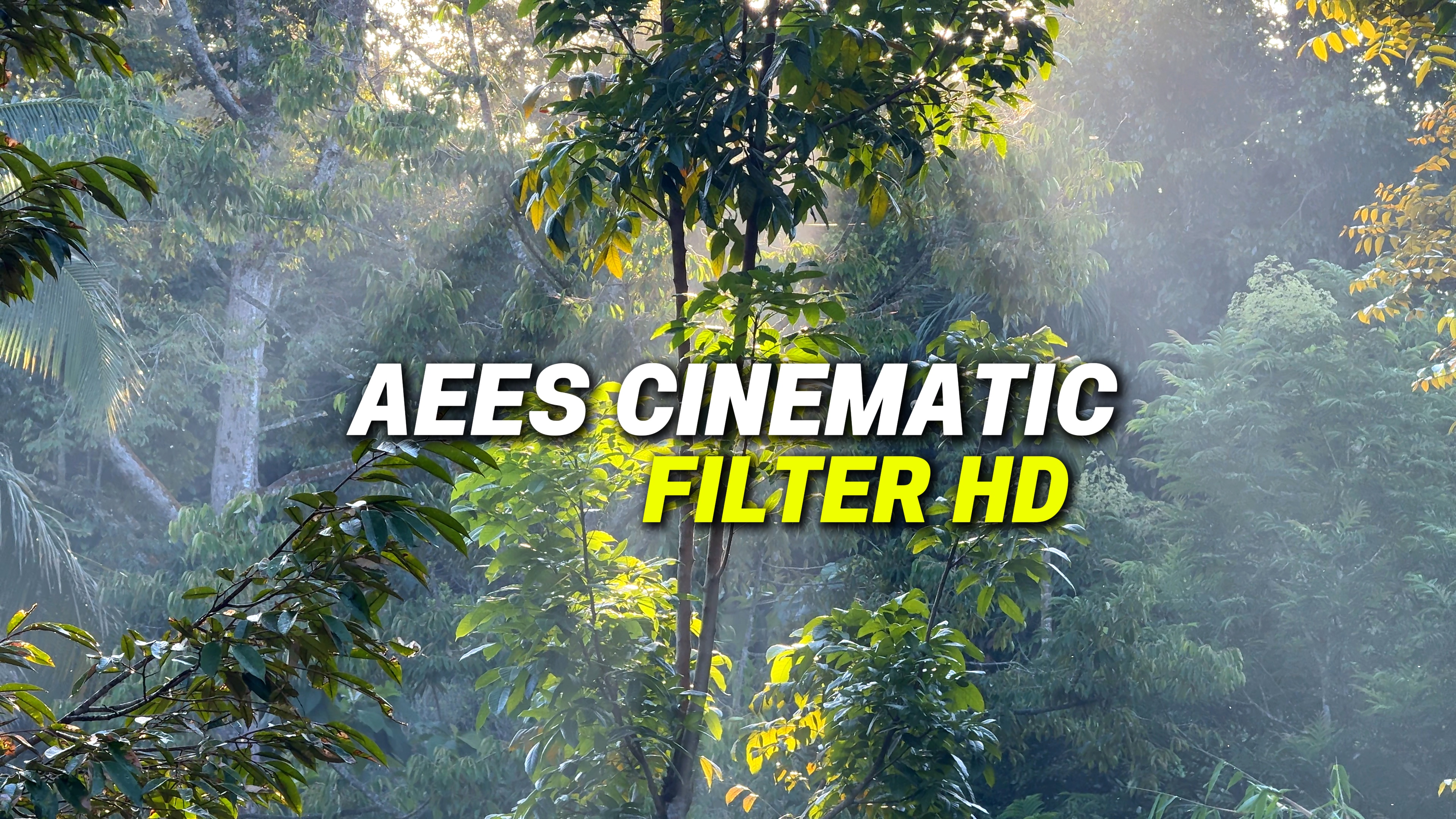 6 Photos Videos Templates Landscape - Pippit