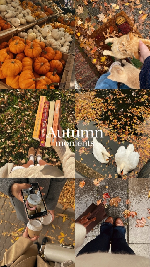 Mini Autumn Video Template - Pippit