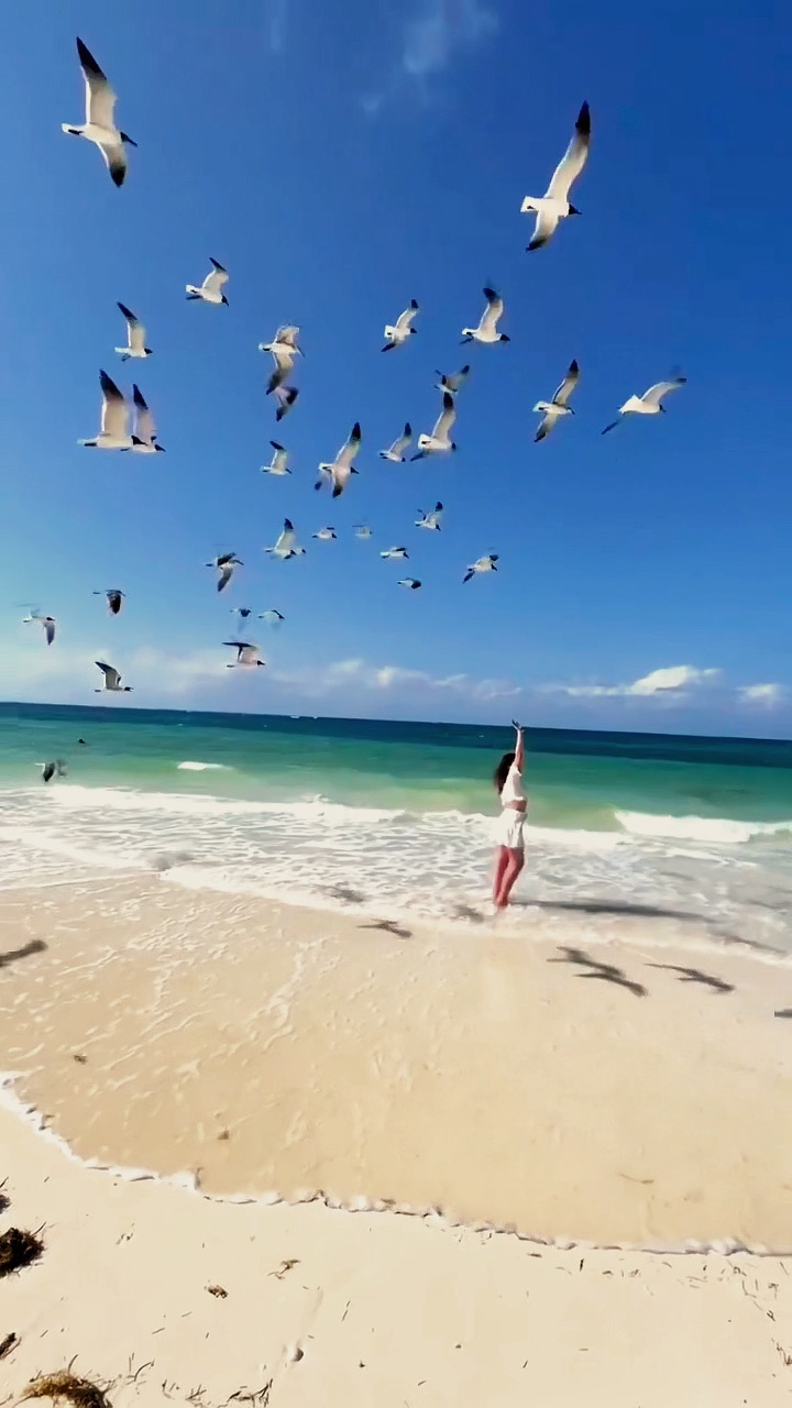 15 Seconds Slow Motion 4 Templates - Pippit