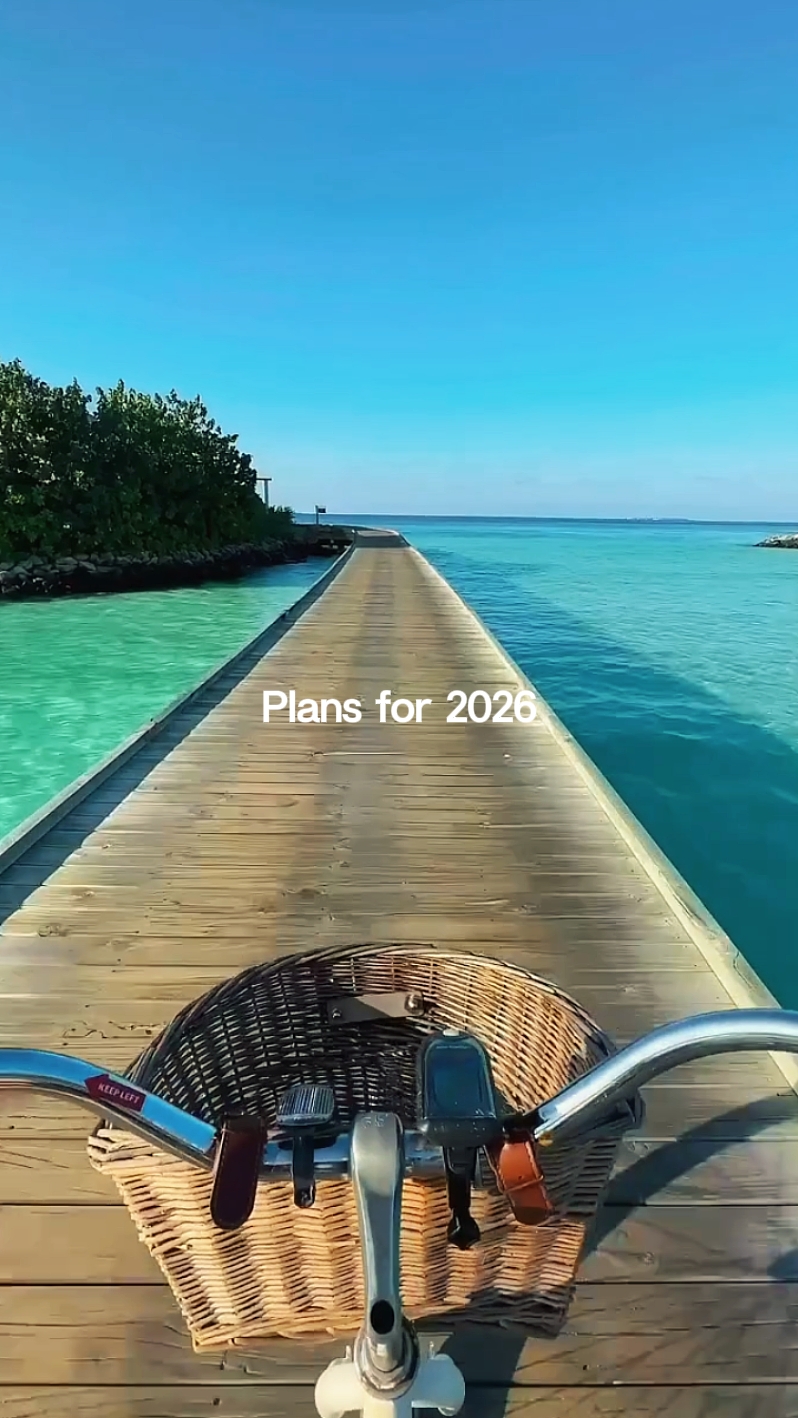 Planes 2026 - Pippit
