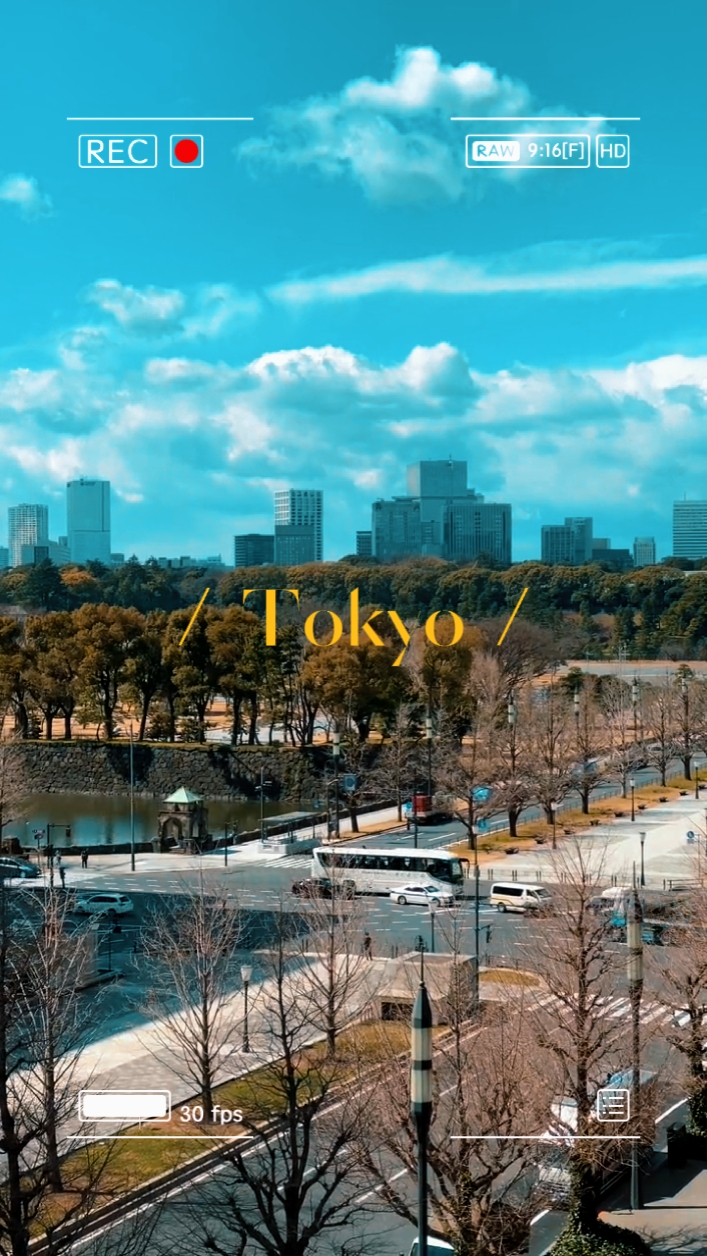 Tokyo AI Effect - Pippit