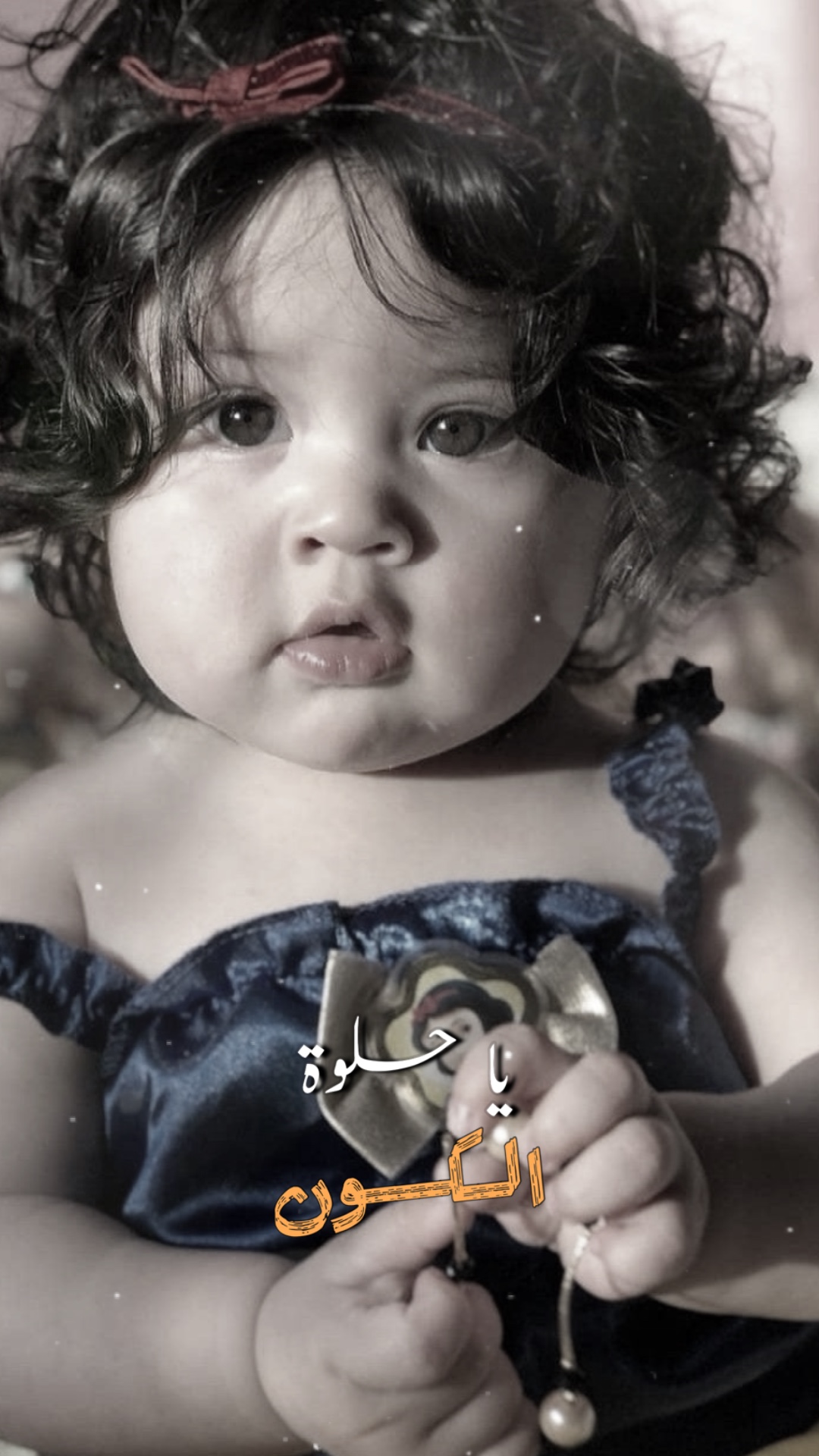 All Template CapCut I - Pippit