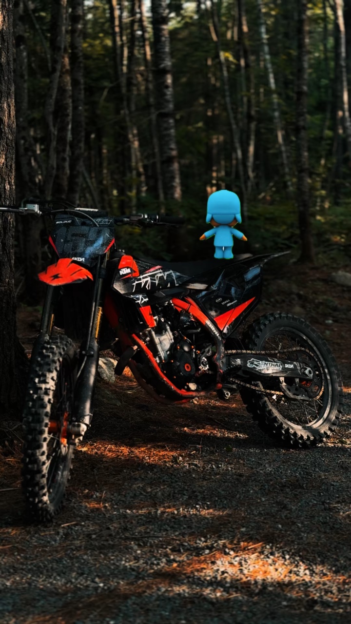 AI Effect Template Bike - Pippit