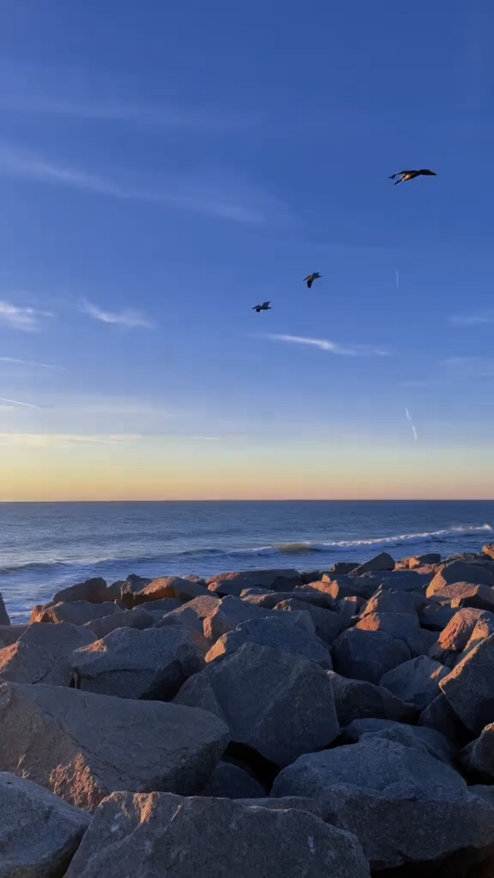 8 Second Video Aesthetic Templates - Pippit