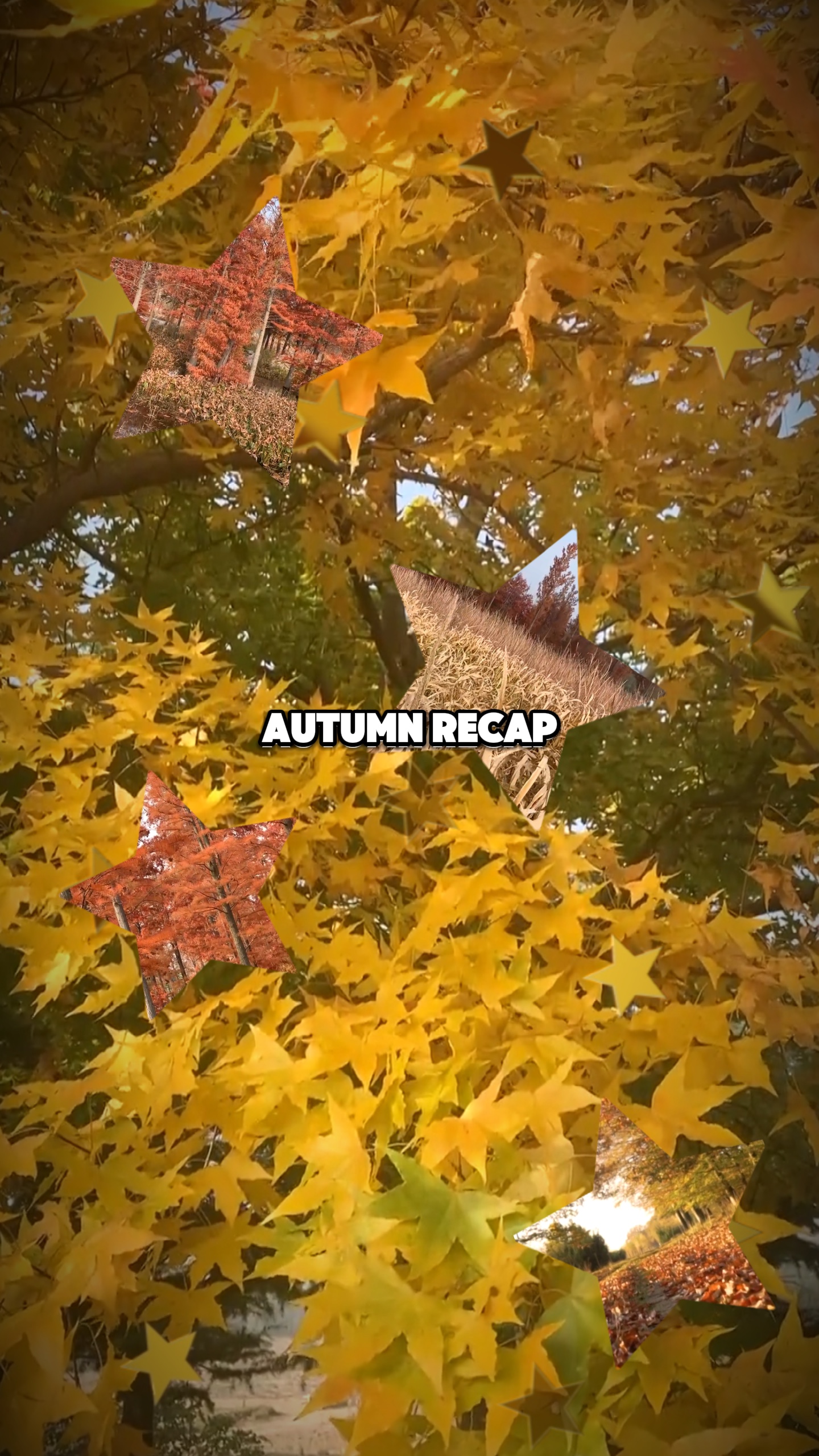 dti fall autumn theme - Pippit