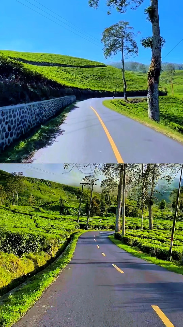 AI Blend Split Screen 2 Videos - Pippit