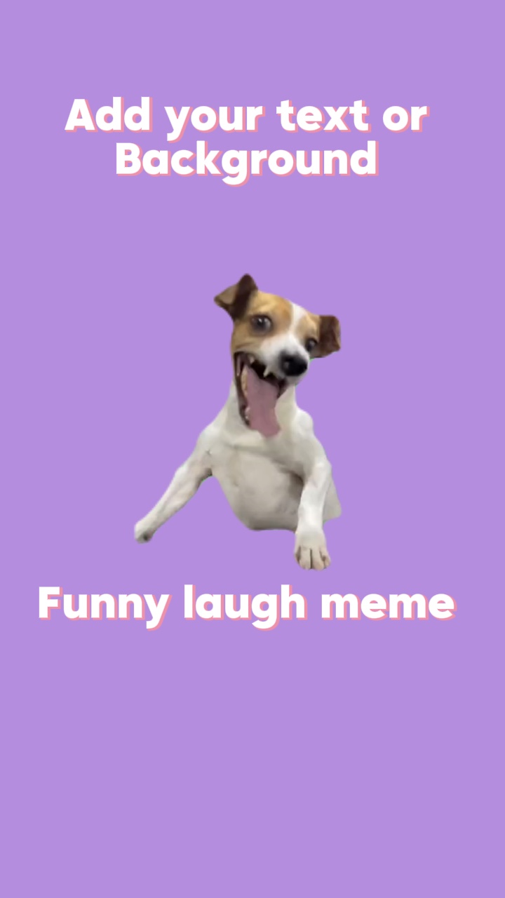 Funny laugh meme - video template by CapCut