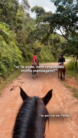 Cavalo Meme: Discover the Funniest Cavalo Moments Online