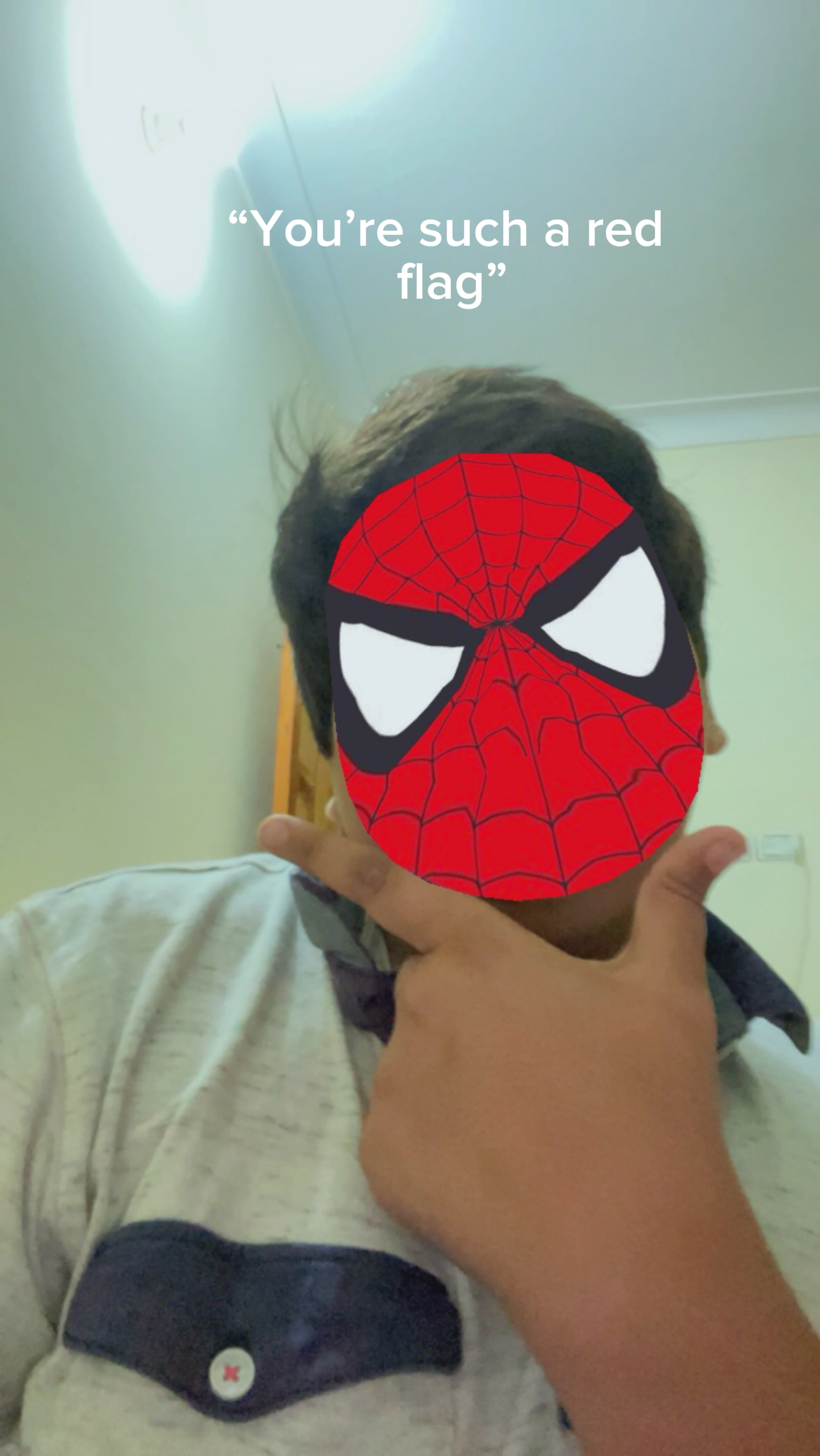 My Red Flag Filter - Pippit