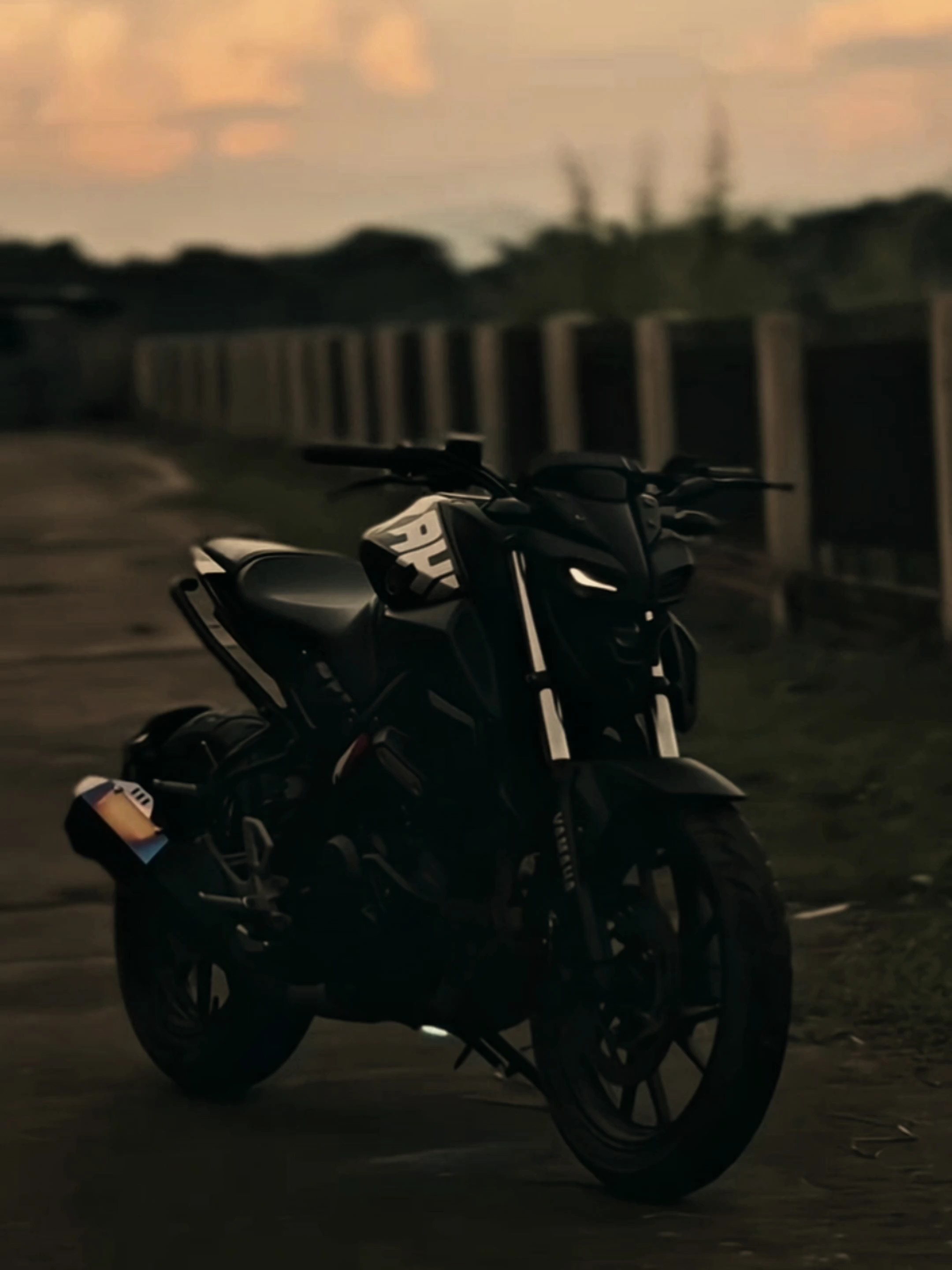 Beautiful Bike Template - Pippit