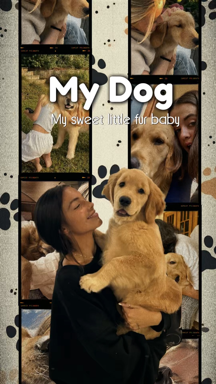 Dog Editing Template - Pippit