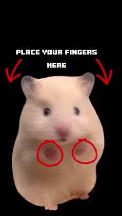 Mouse Meme: Discover the Funniest Mouse Memes Online