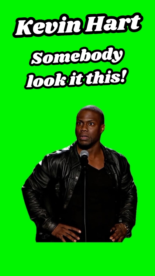 kevin hart look template - Pippit