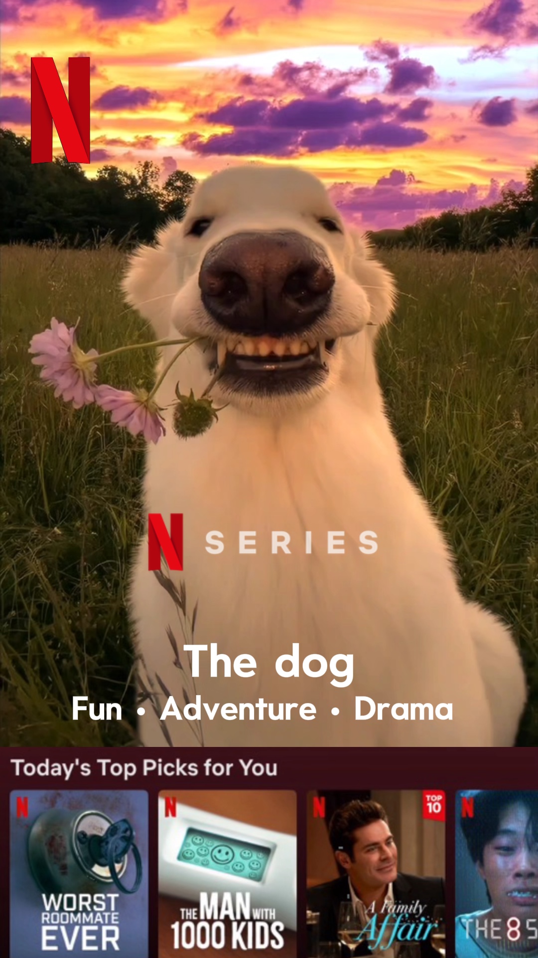 netflix logo effects - Pippit