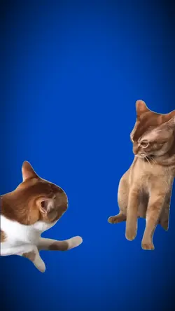 Angry Cat Meme: Discover the Funniest Cat Reactions Online