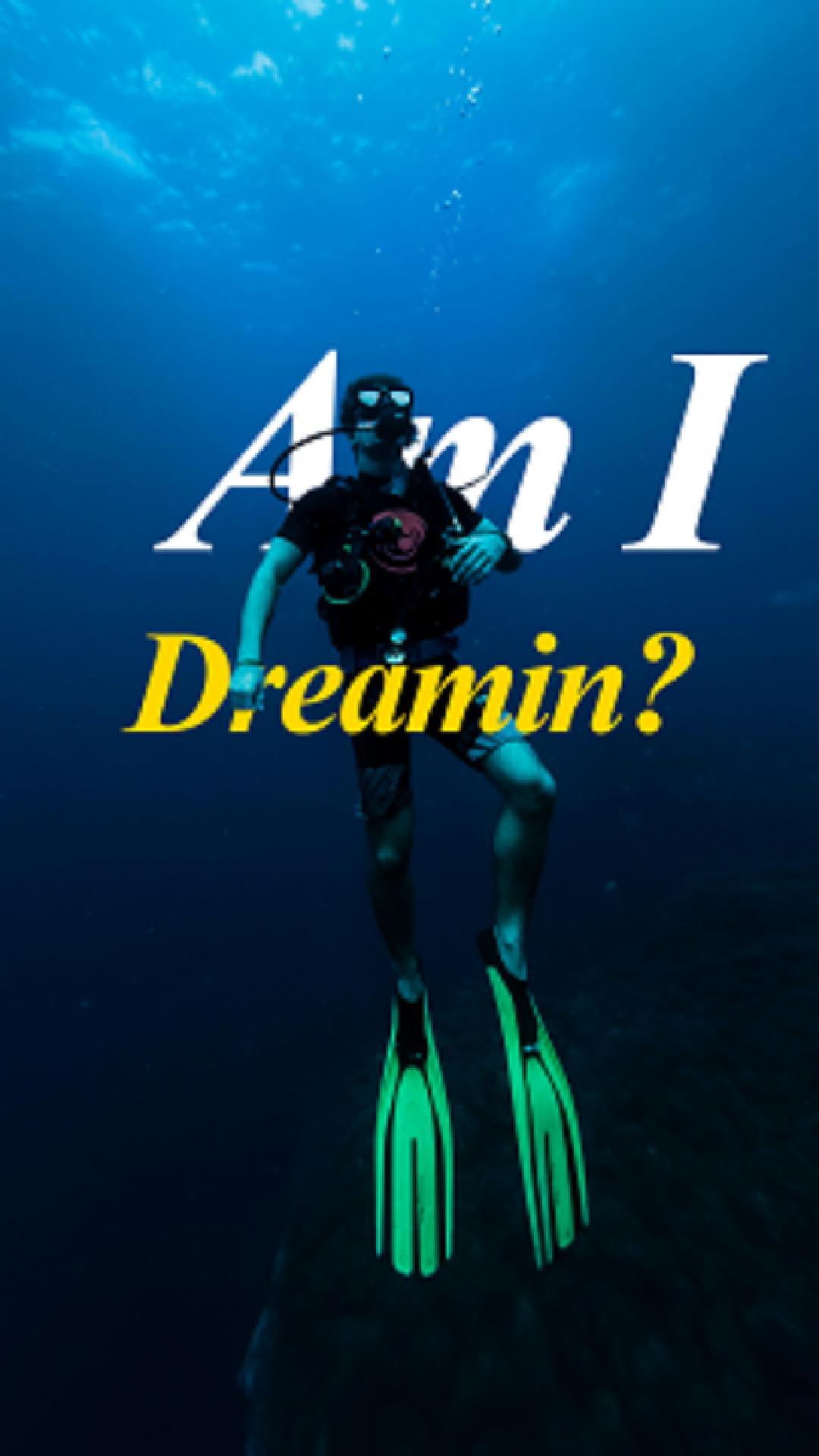 Free Dive Color Grading Template - Pippit