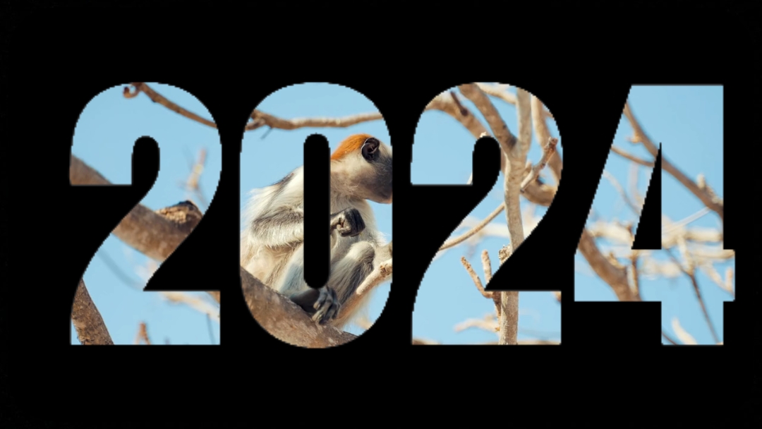 2024 Recap Landscape Template - Pippit