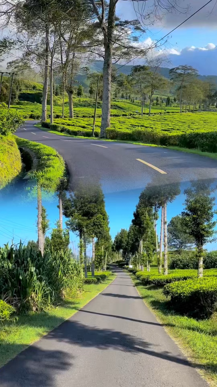 2 Video Templates 30 Seconds Split Screen - Pippit