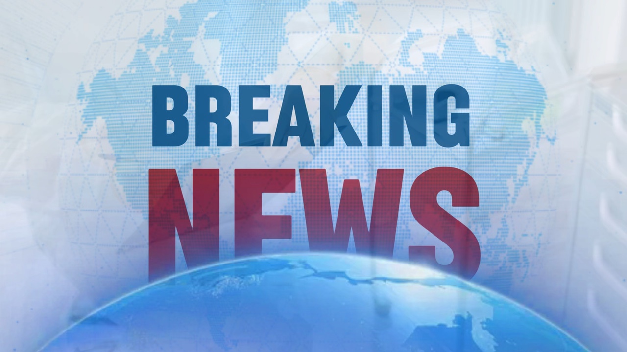 Intro For Presenting The 4 Character Template - Pippit