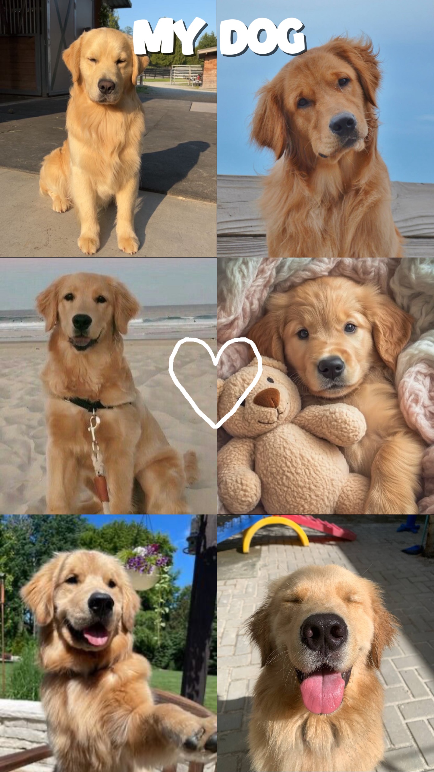 Xoxo Dog - Pippit