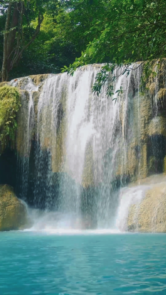 One Waterfall Nature Template - Pippit