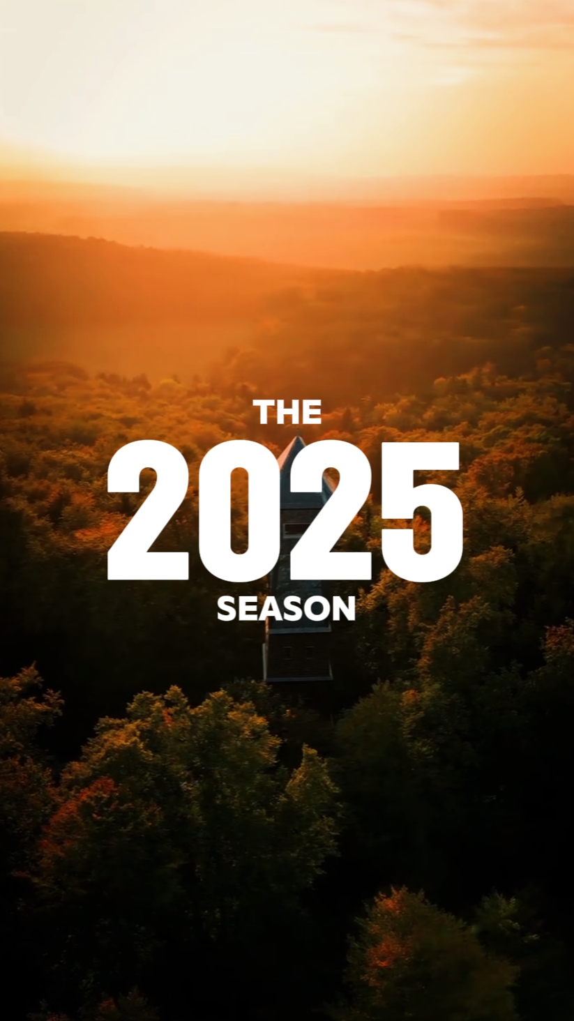 2025 Recap South African Template - Pippit
