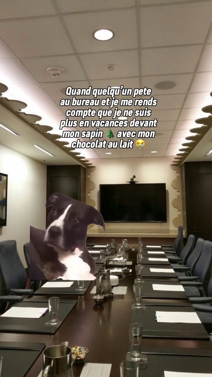 Meme-Vorlagen Urlaub - Pippit