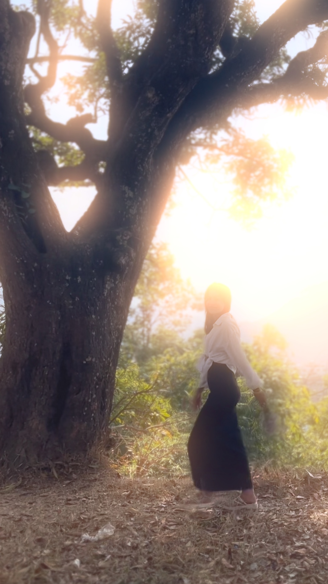 Effect Change Video - Pippit