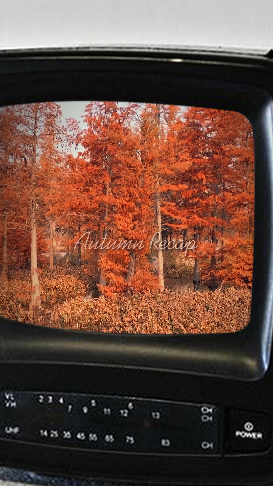 dti fall autumn theme - Pippit