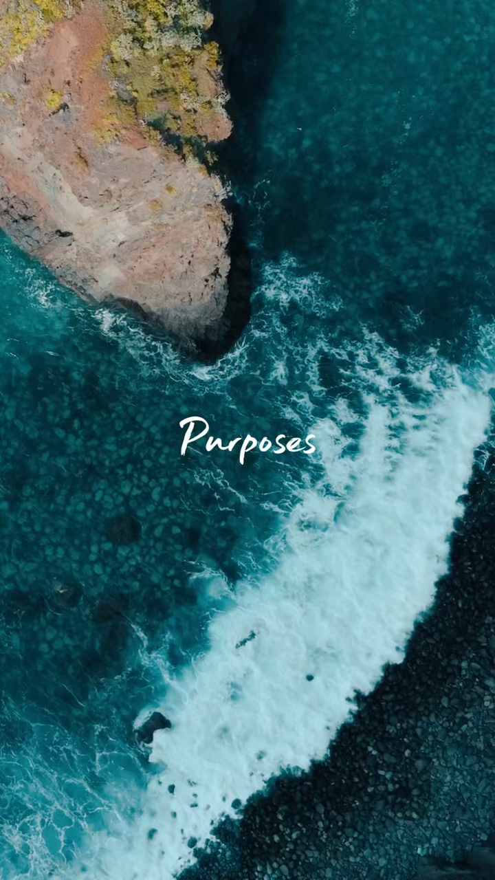 Purposes Templates - Pippit