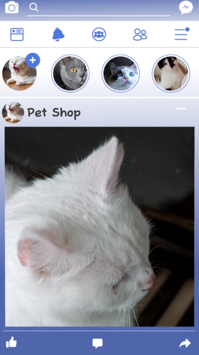Face Cat Effect - Pippit