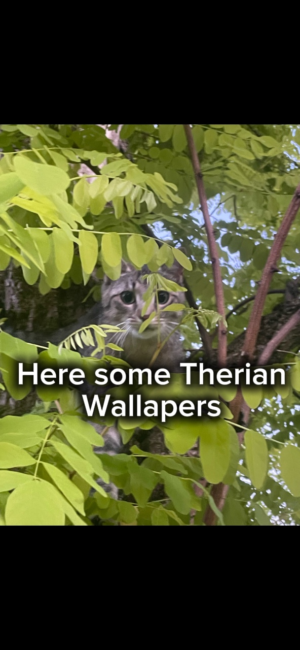 how to draw a therian - Pippit