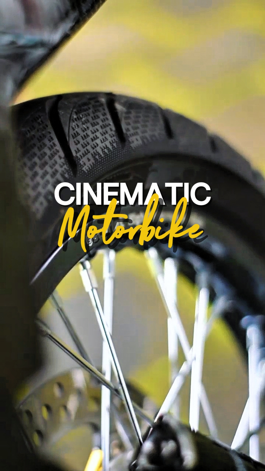 New 2025 Template Bike - Pippit