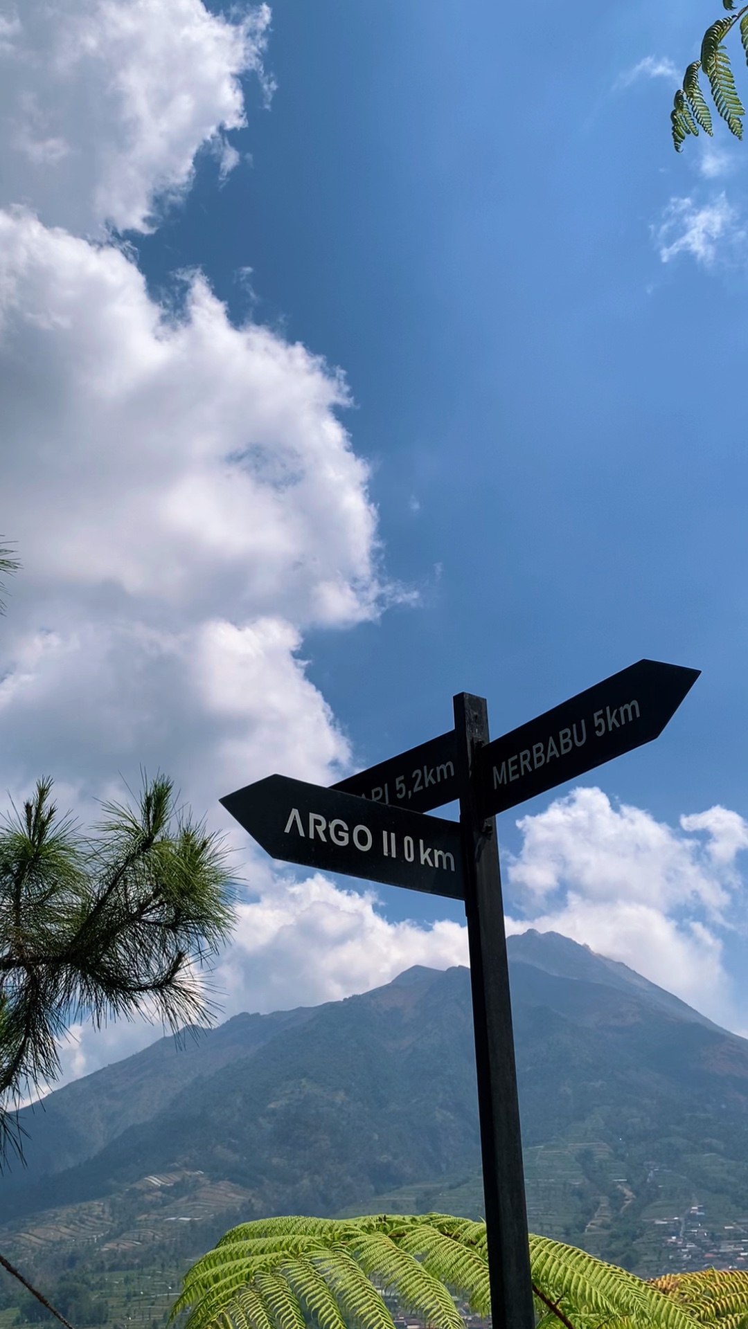 Beggin' Song Template With 4 Clips - Pippit