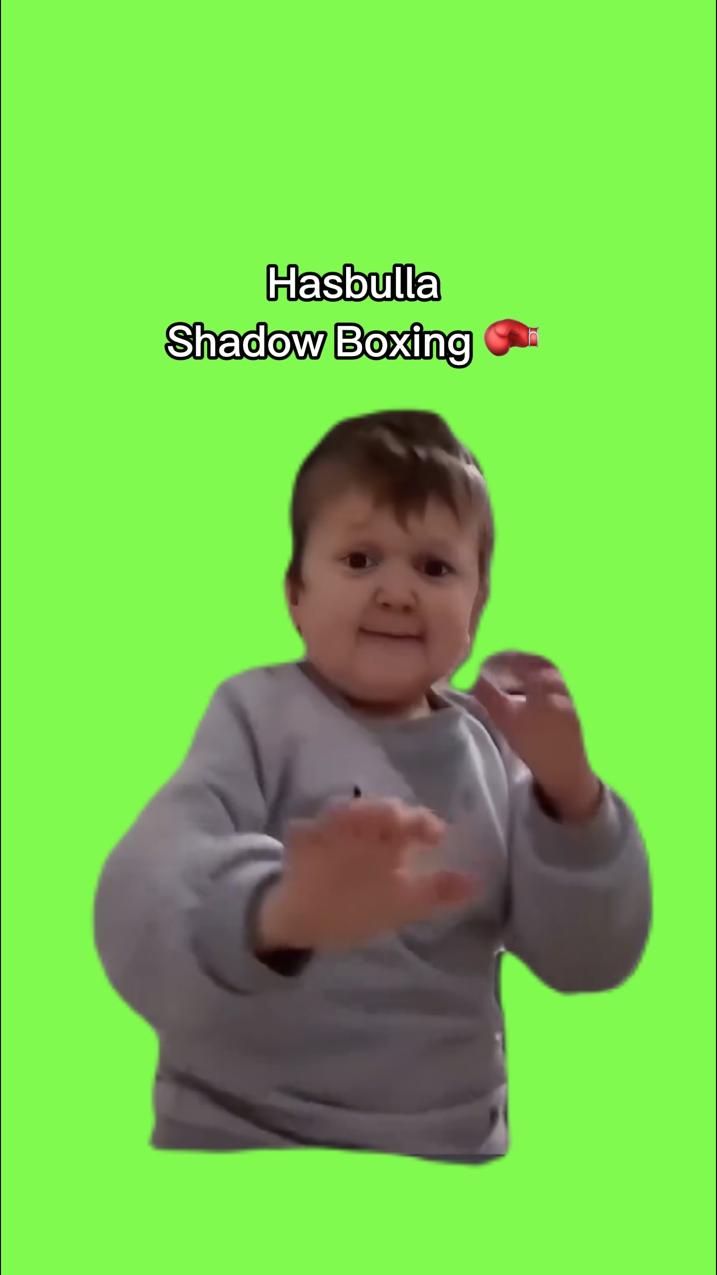 Hasbulla Laughing Meme - Pippit