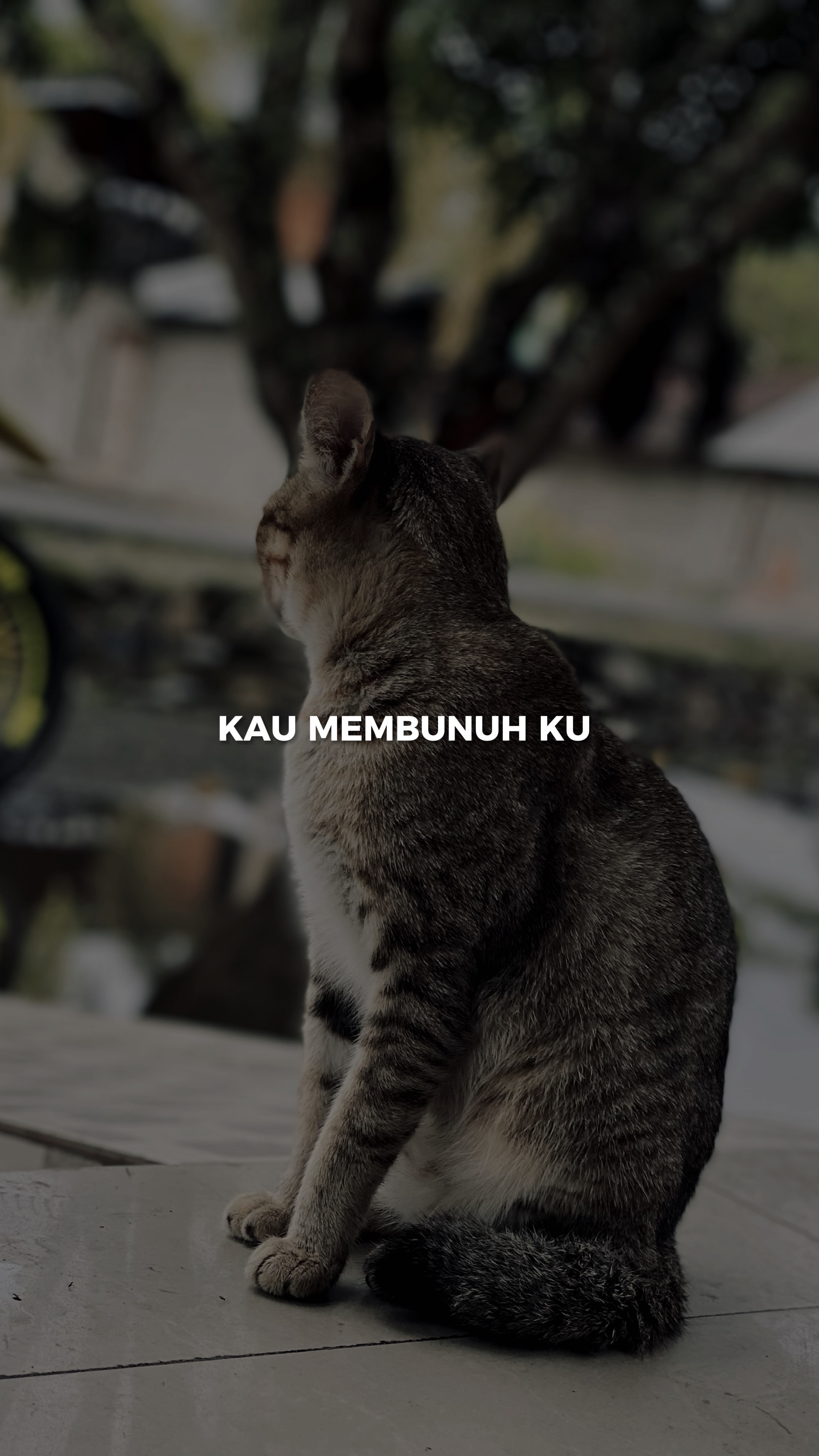 All Template CapCut Sad Reel Cip 1 - Pippit