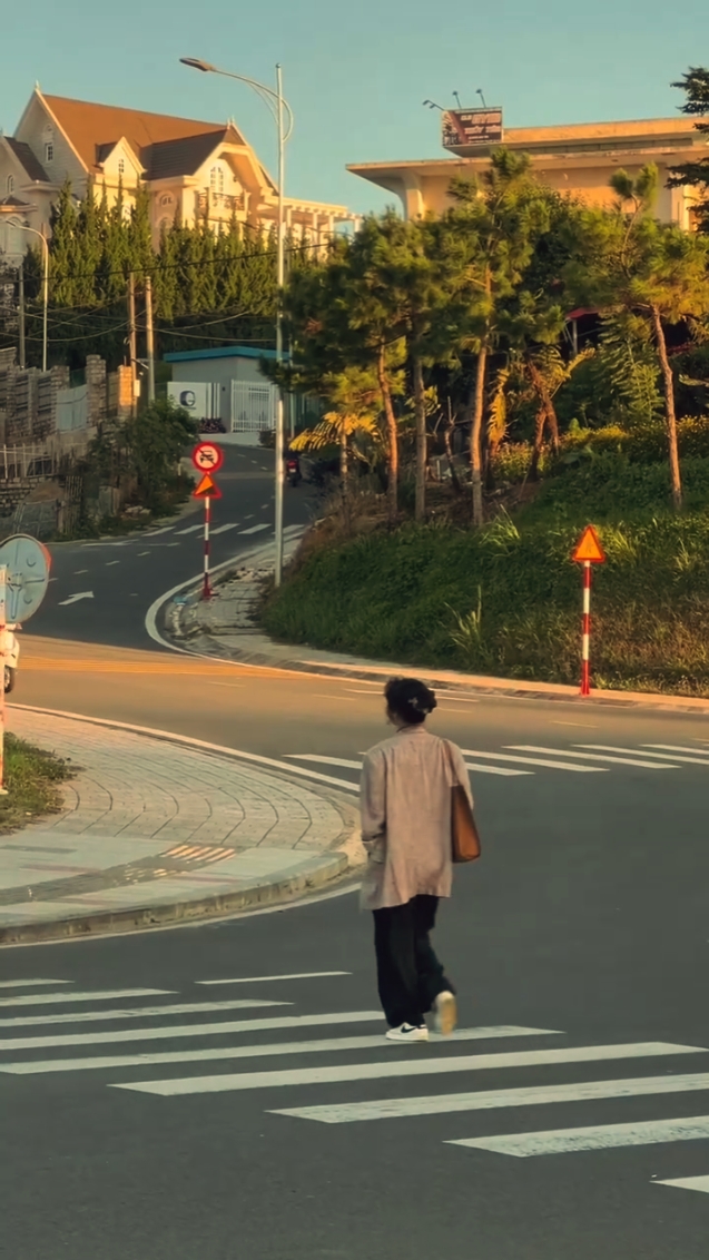 Cinematic Templates And Light Walla - Pippit