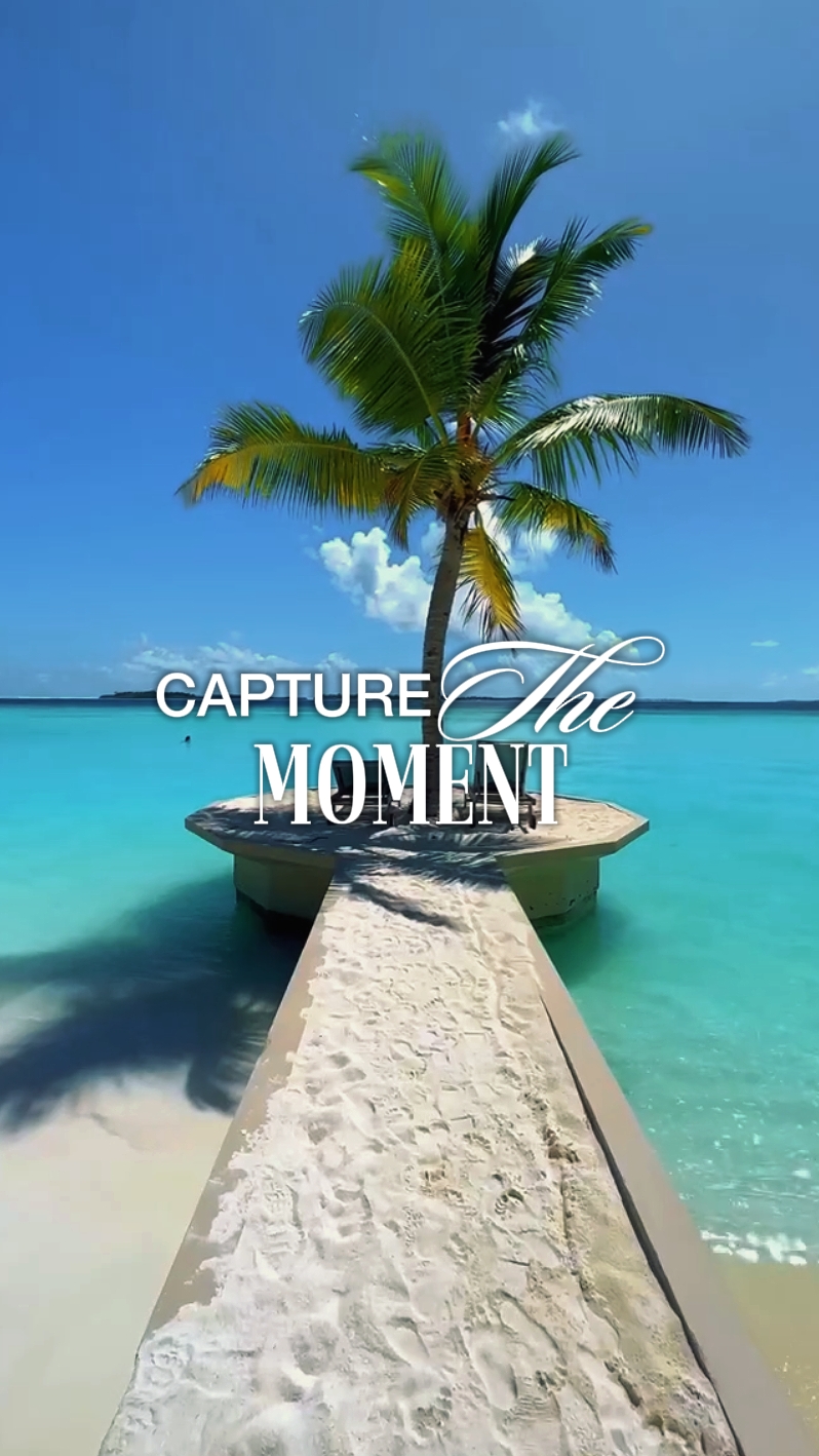 Walking Recap Template - Pippit