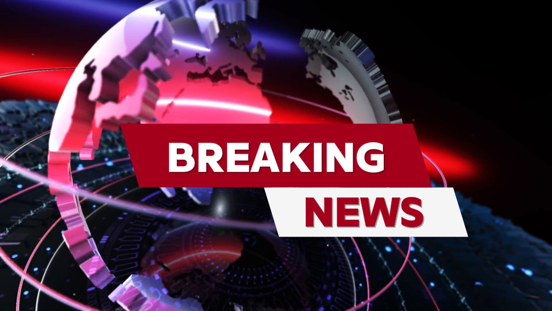 TV News Broadcasting Template 12 Sec - Pippit