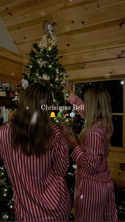 Christmas Pibble - Pippit