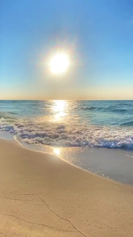 Ocean Song Template - Pippit