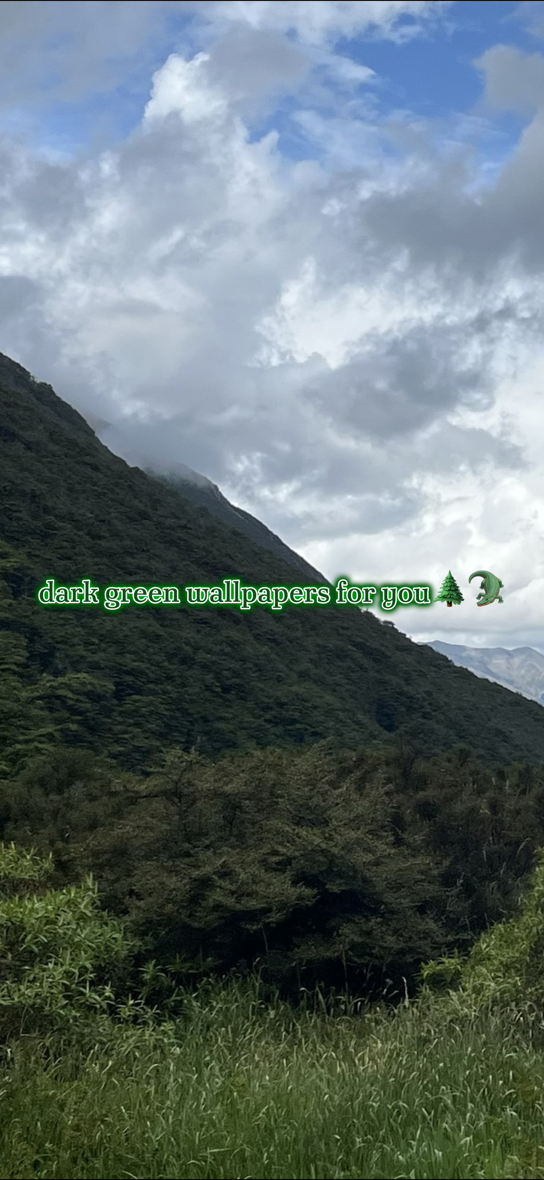 free green pfps - Pippit
