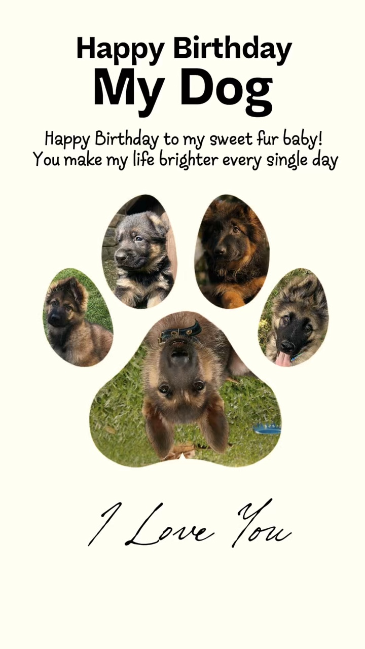 Birthday Dog Show Templates - Pippit