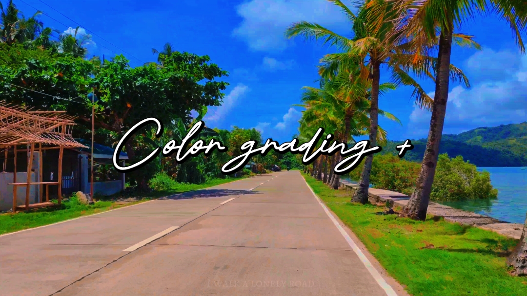 Horizontal Template Video Color Grading - Pippit