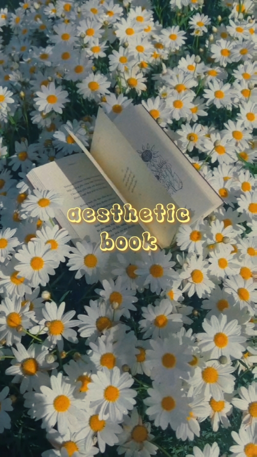 Book Calm Background - Pippit