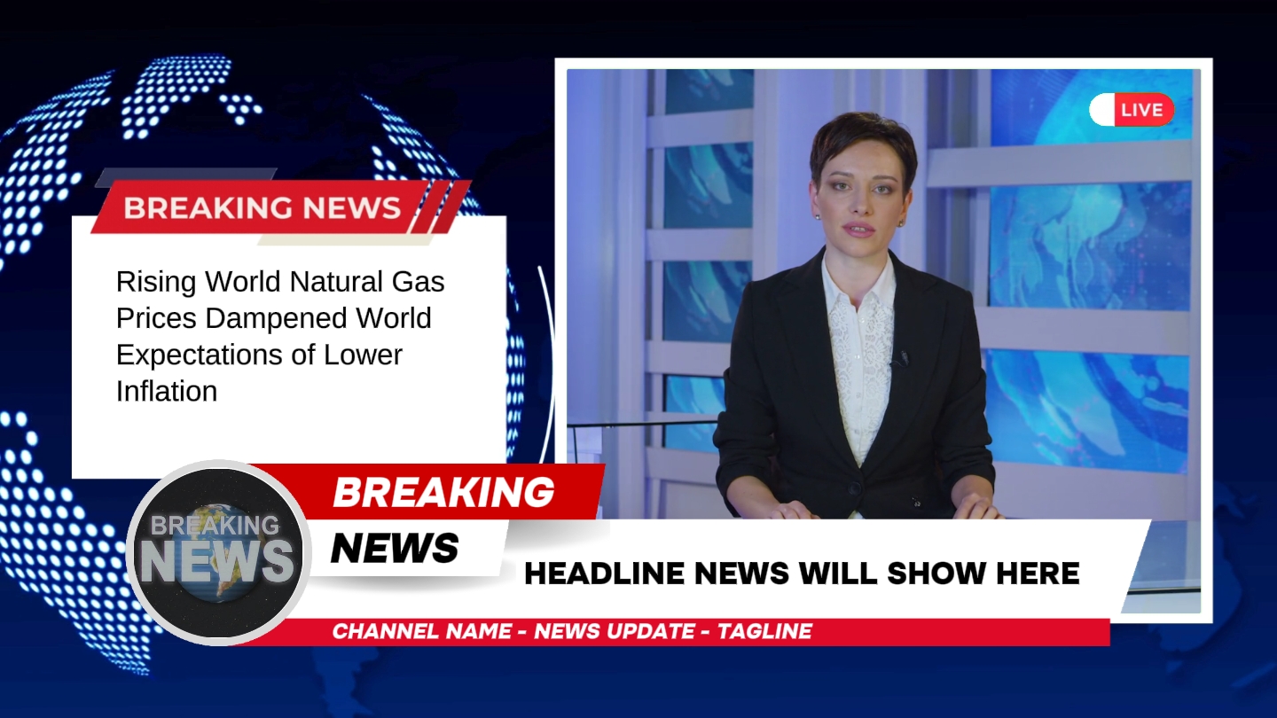 News Templates for Reporter 24 Oras - Pippit
