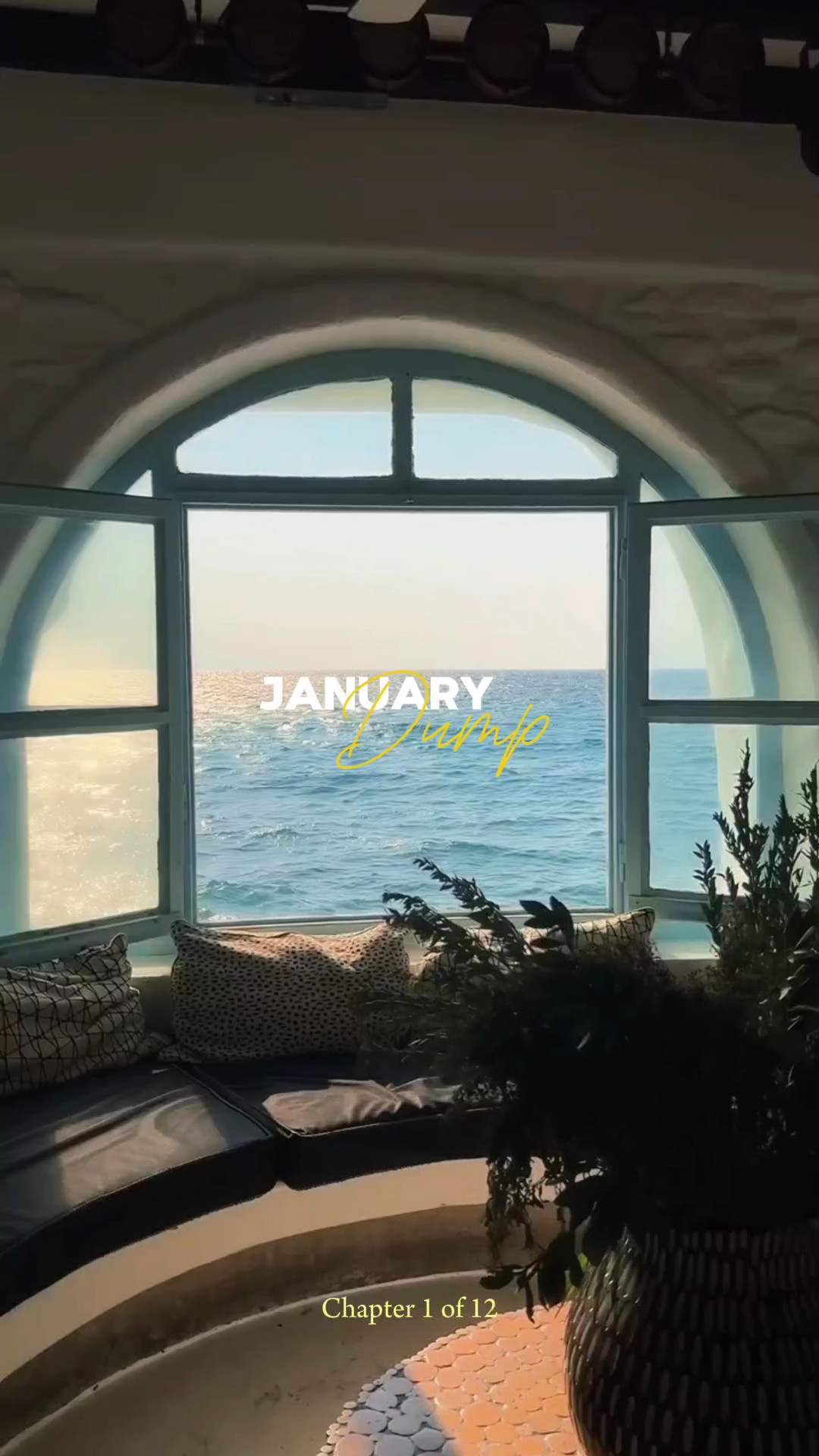 Januarydump2025 - video template by CapCut