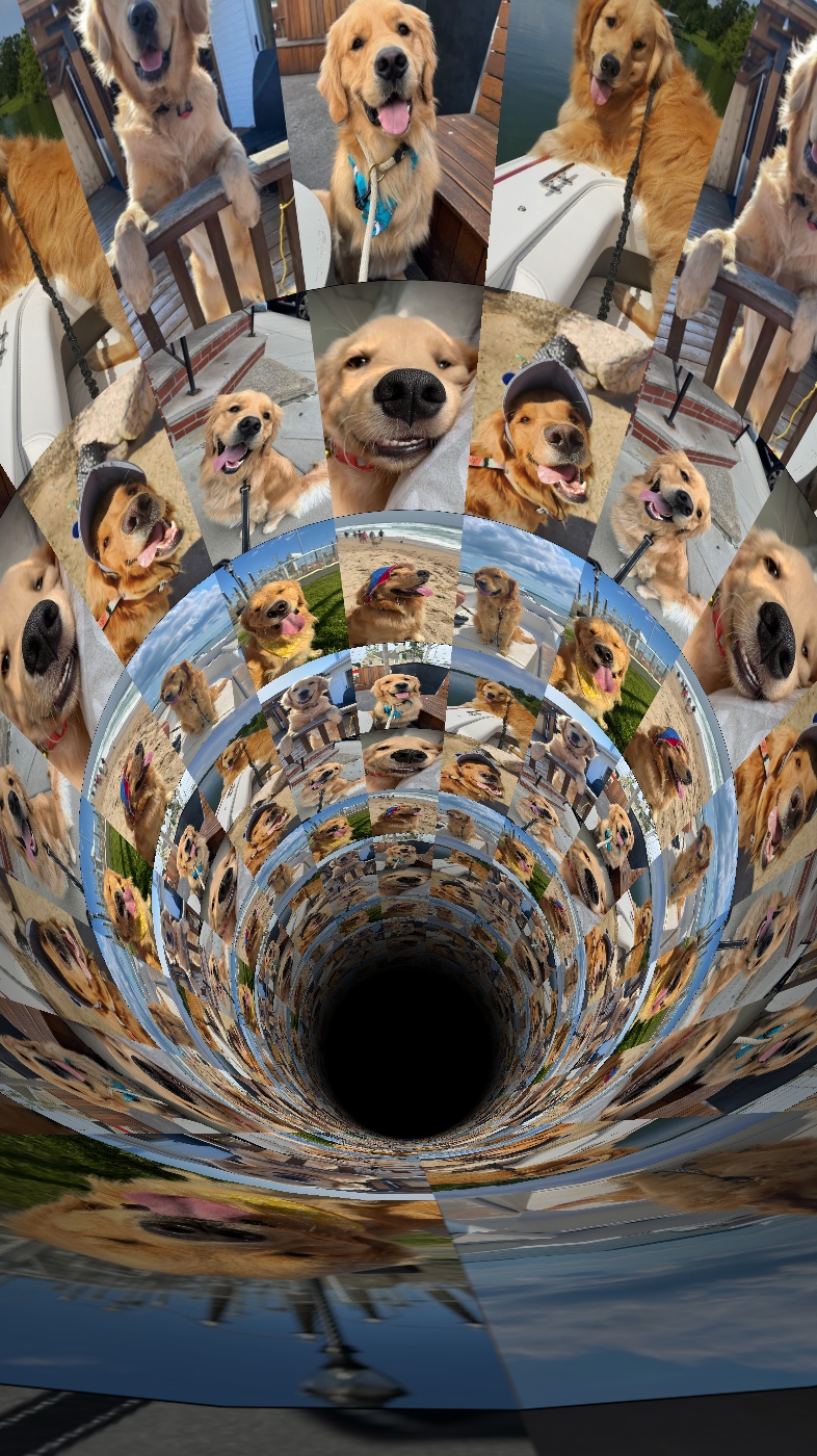 Dog Editing Template - Pippit