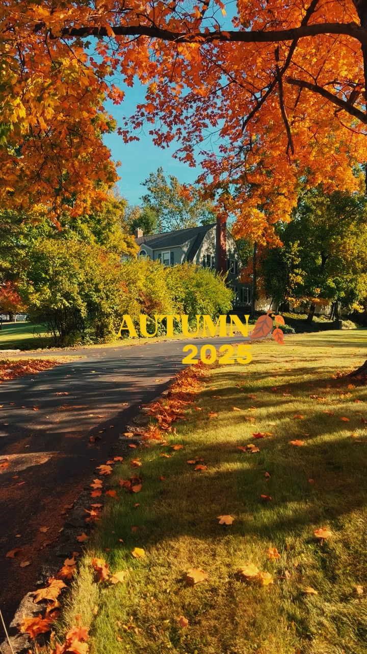 Autumn Templates for 6 Photos - Pippit