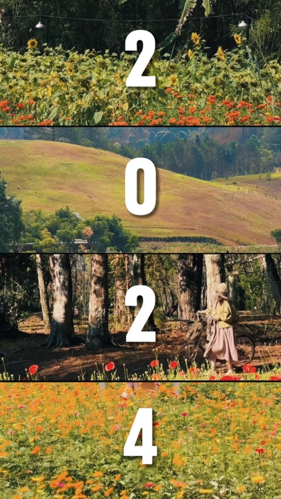 50 Photos Templates FX - Pippit